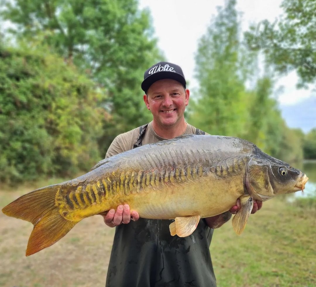 Zip lin in France | Total Carp